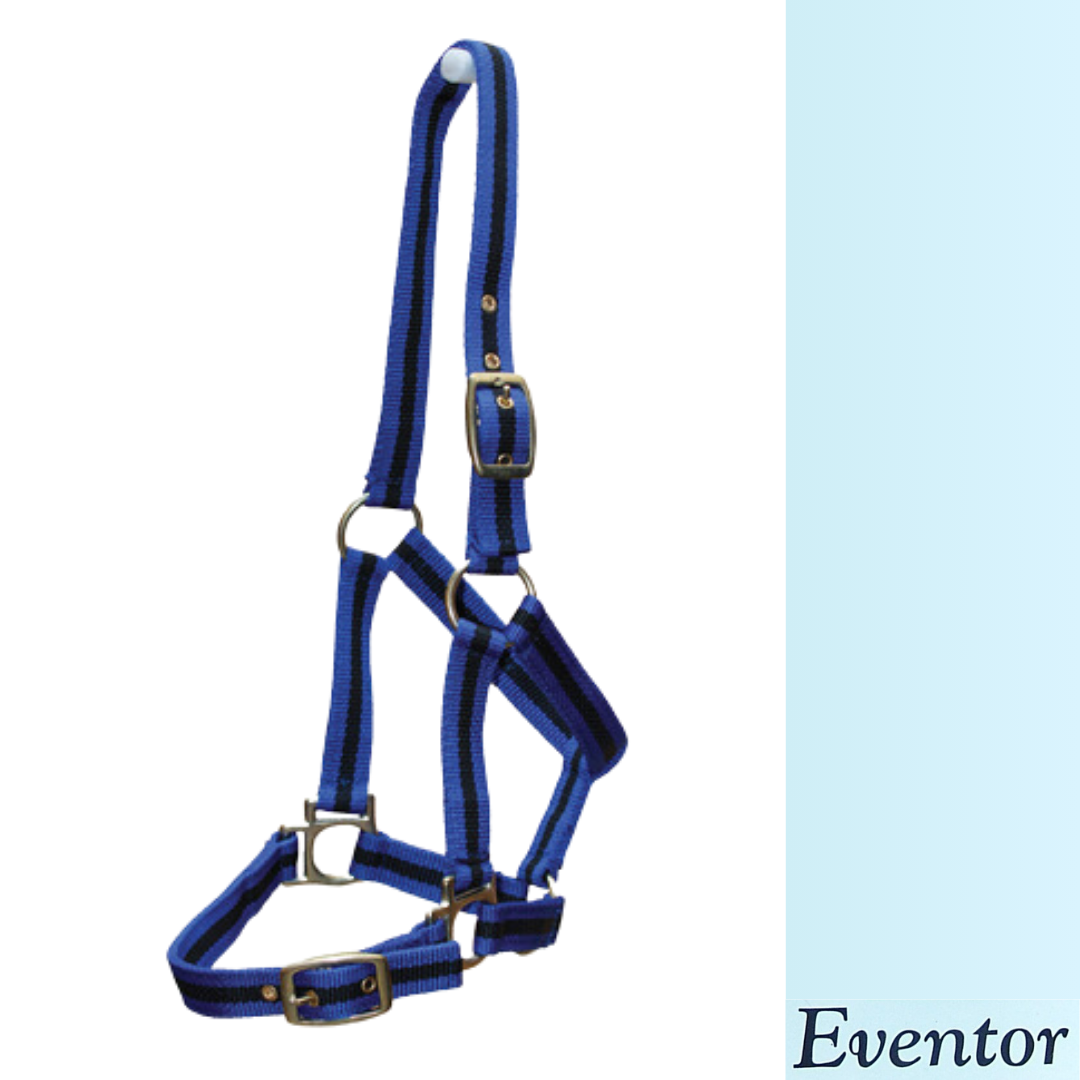 HALTER WEB - EVENTOR : Apparel - Horse-Halters & Leads-Synthetic ...