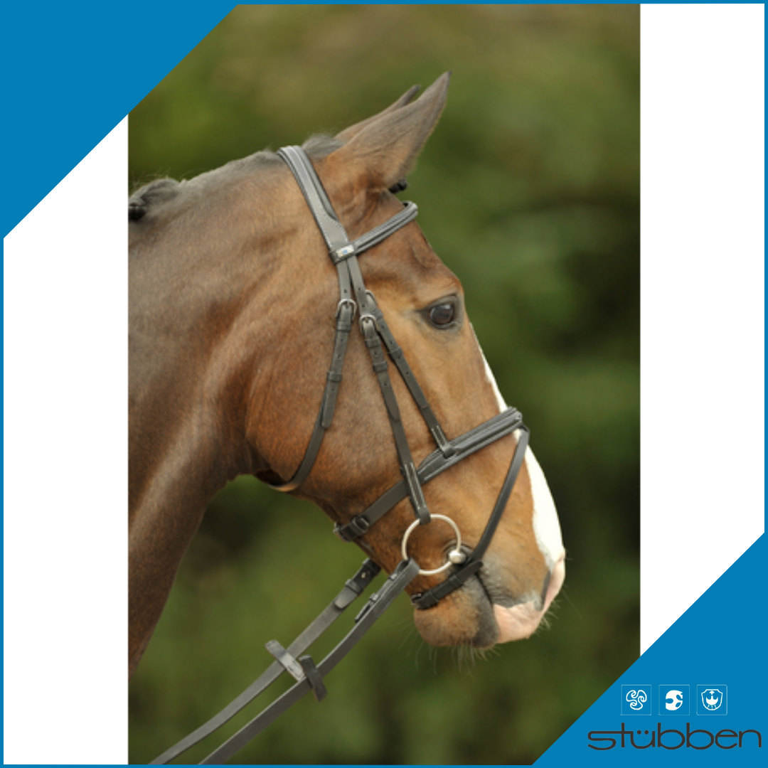 STUBBEN 2007c SNAFFLE BRIDLE - STUBBEN : Bridles & Reins-Bridles ...