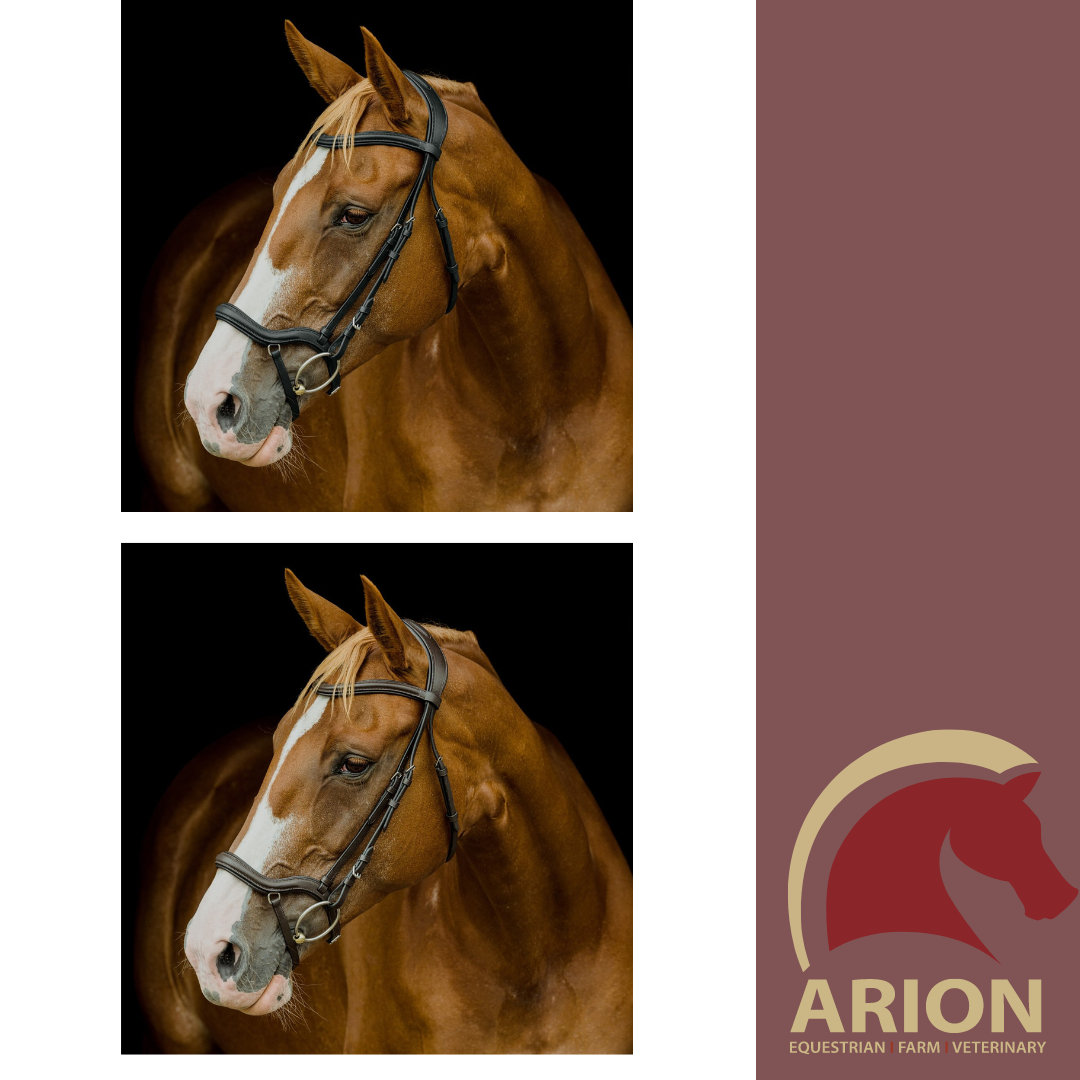 PLATINUM PRESSURE RELIEF ANATOMICAL BRIDLE - Bridles & Bits-Snaffle ...