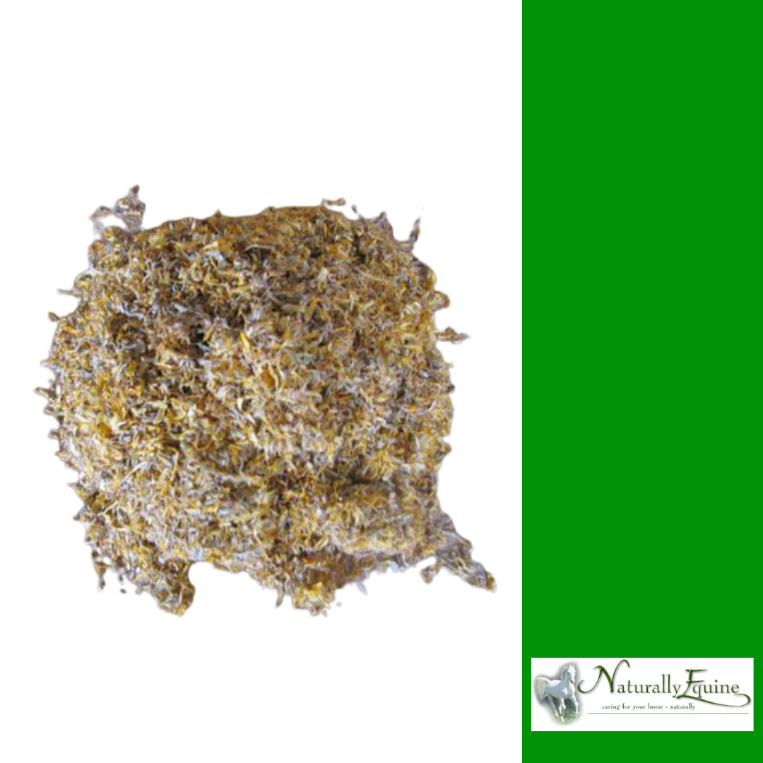 NATURALLY EQUINE CALENDULA - Feed & Supplements-Supplements : Champion ...