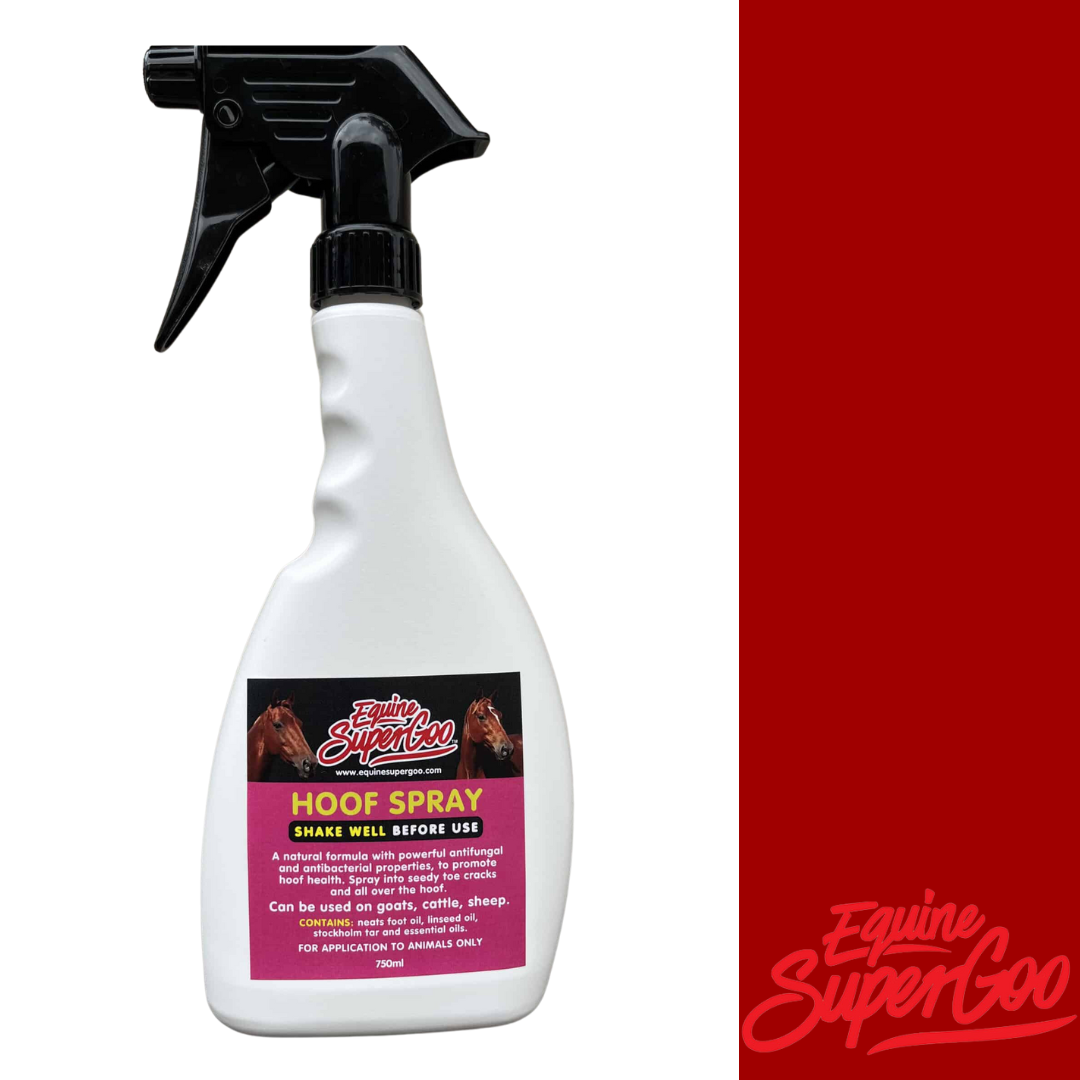 EQUINE SUPER GOO HOOF SPRAY - Grooming-Hoof Care : Champion Equestrian ...