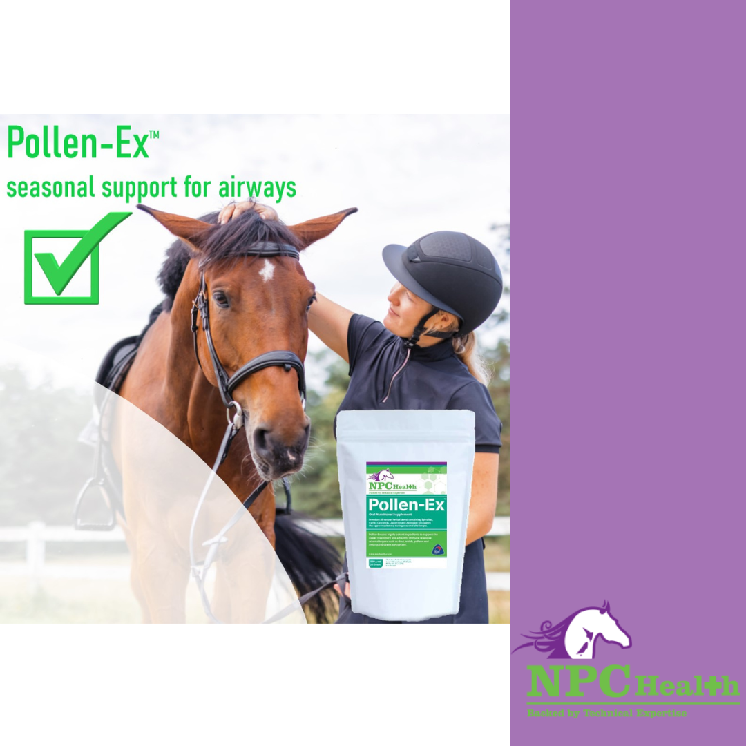 NPC POLLENEX - Feed & Supplements-Supplements : Champion Equestrian ...