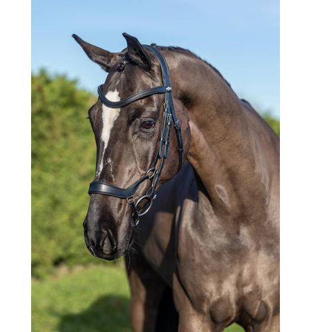 LE MIEUX ARIKA BRIDLE DROP NOSEBAND - Bridles & Reins-Bridles - Snaffle ...