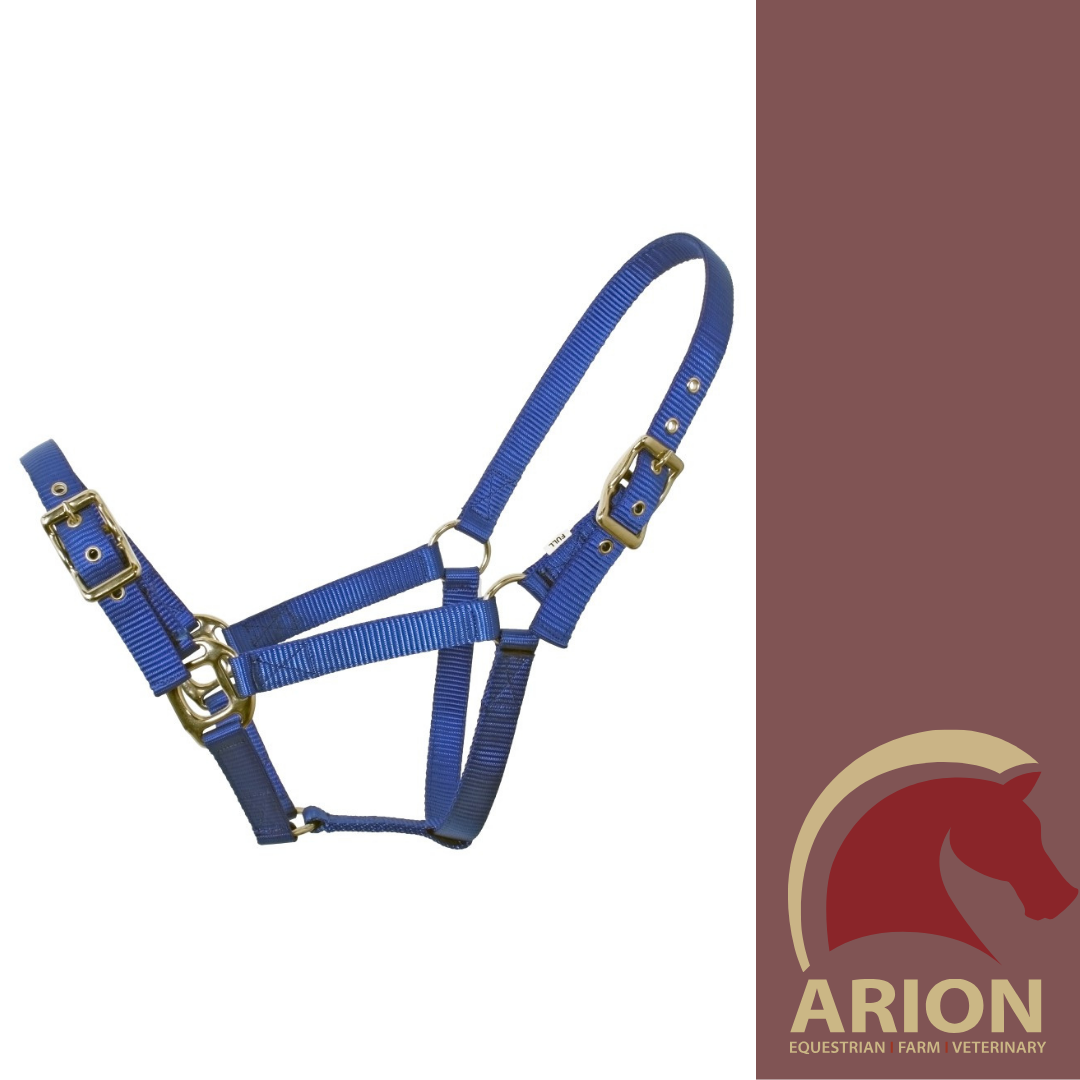FLAIR HEAVY DUTY WEB HALTER - Halters & Leads-Halters : Champion ...